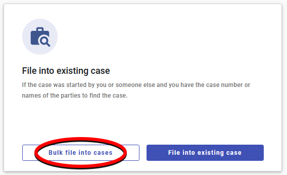 TEXAS: Create a New Bulk Filing for Subsequent Filings / Existing Cases ...